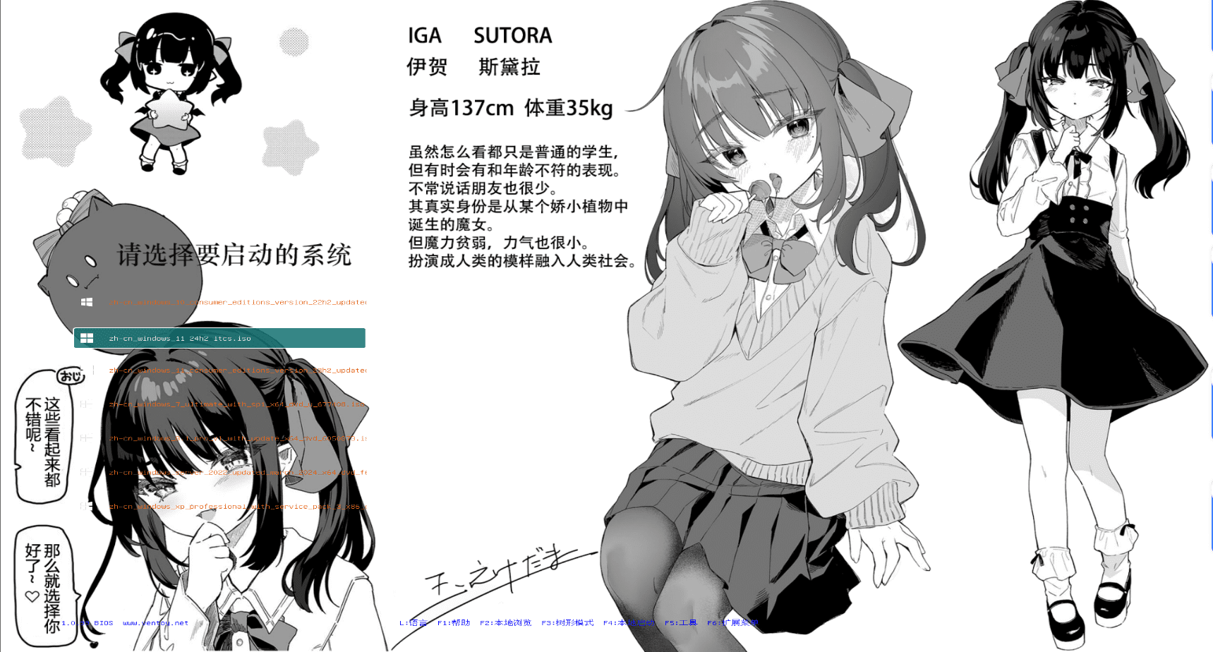 自用ventoy theme主题美化，伊贺斯黛拉iga sutora | 行云-KanNa